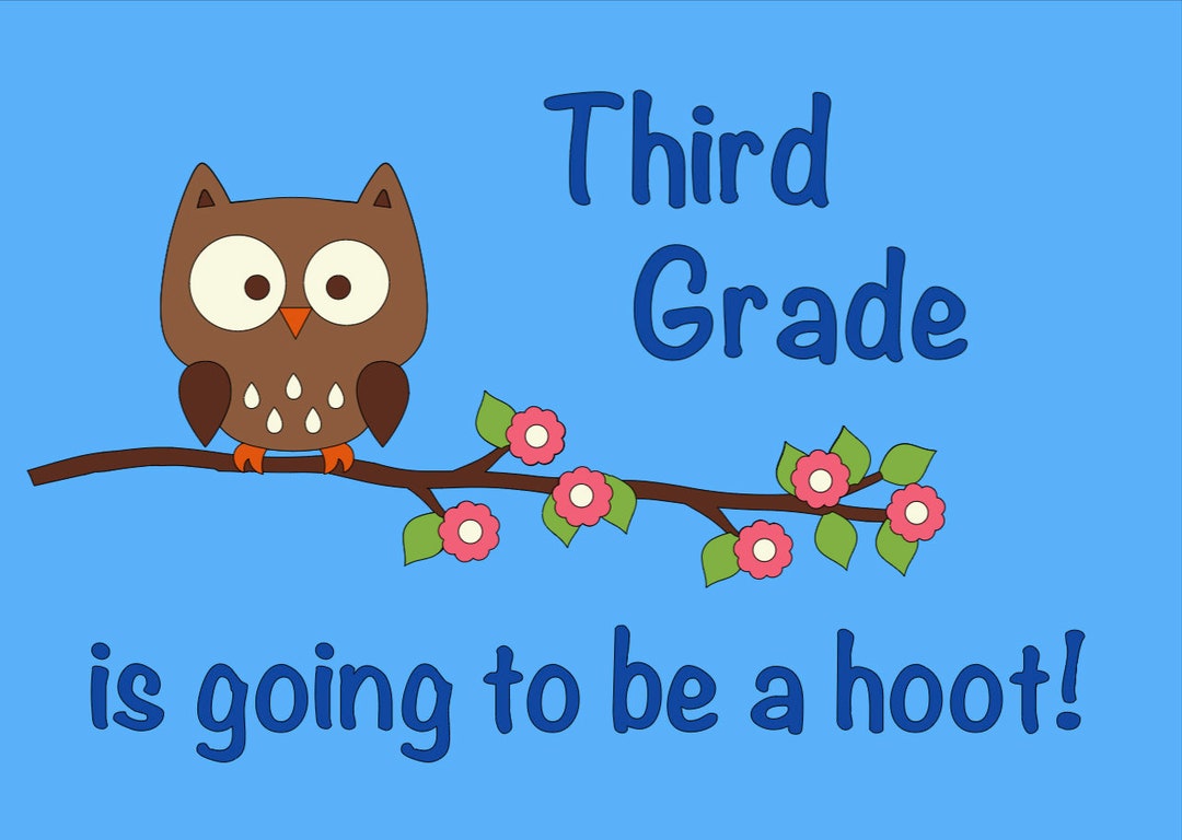 Owl Bulletin Board Cutouts, Teacher Classroom Bulletin Board, Ready to ...