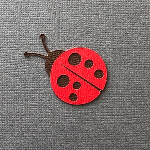 17 Piece Teacher Bulletin Board Kit, Spring Classroom Decorations ...