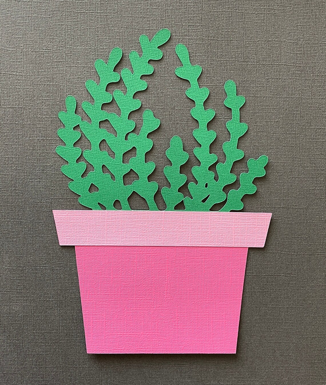 Spring Bulletin Board, Let's Grow Together Bulletin Board, Succulent ...