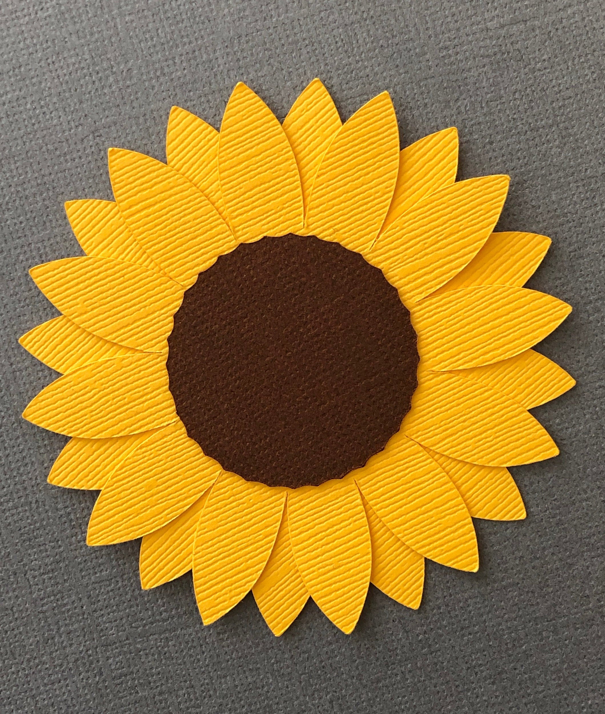 7 Piece Bulletin Board Kit Sunflower Themed Classroom - Etsy