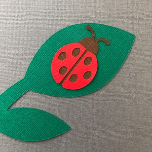 17+ Piece Teacher Bulletin Board Kit, Spring Classroom Decorations ...