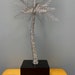 Wire Tree Sculpture: Palm Tree - Etsy