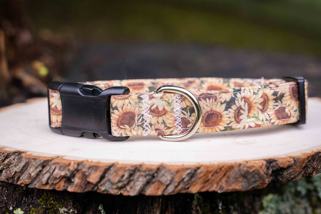 Yellow Sunflower Dog Collar Yellow Sunflower Collar Flower - Etsy