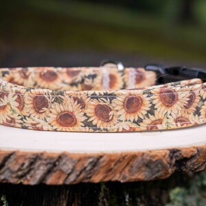 Yellow Sunflower Dog Collar Yellow Sunflower Collar Flower - Etsy