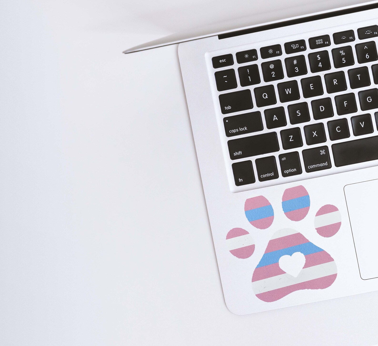 Transgender Flag Pride Paw Print Vinyl Decal Paw Print Heart | Etsy