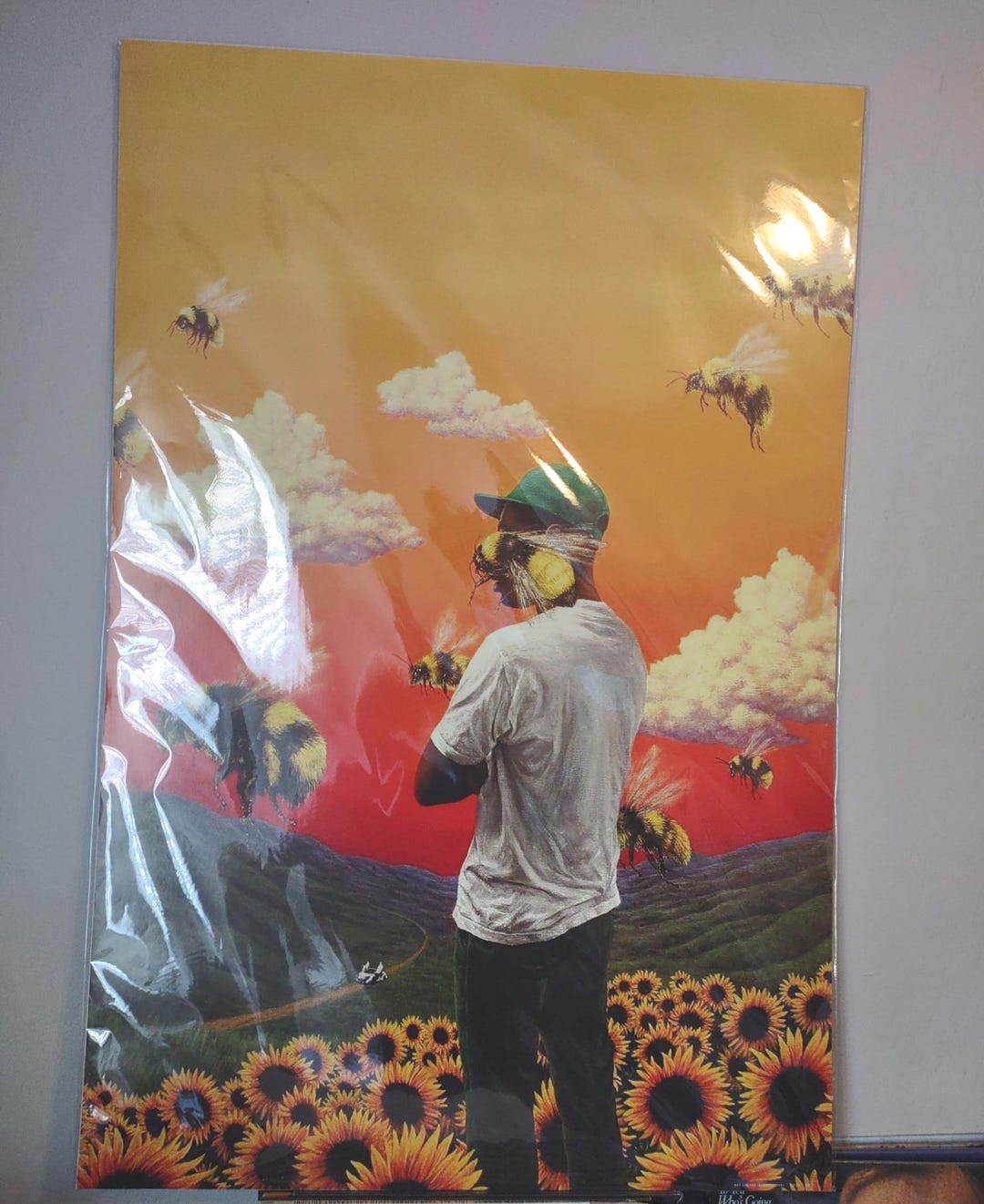 Tyler the Creator Flower Boy Poster 24 X 36 - Etsy