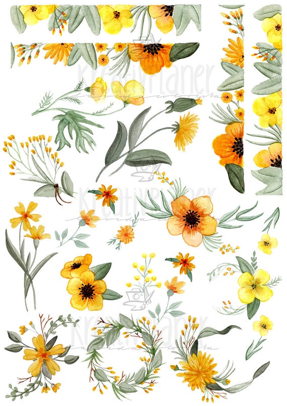 Yellow Bullet Beautiful