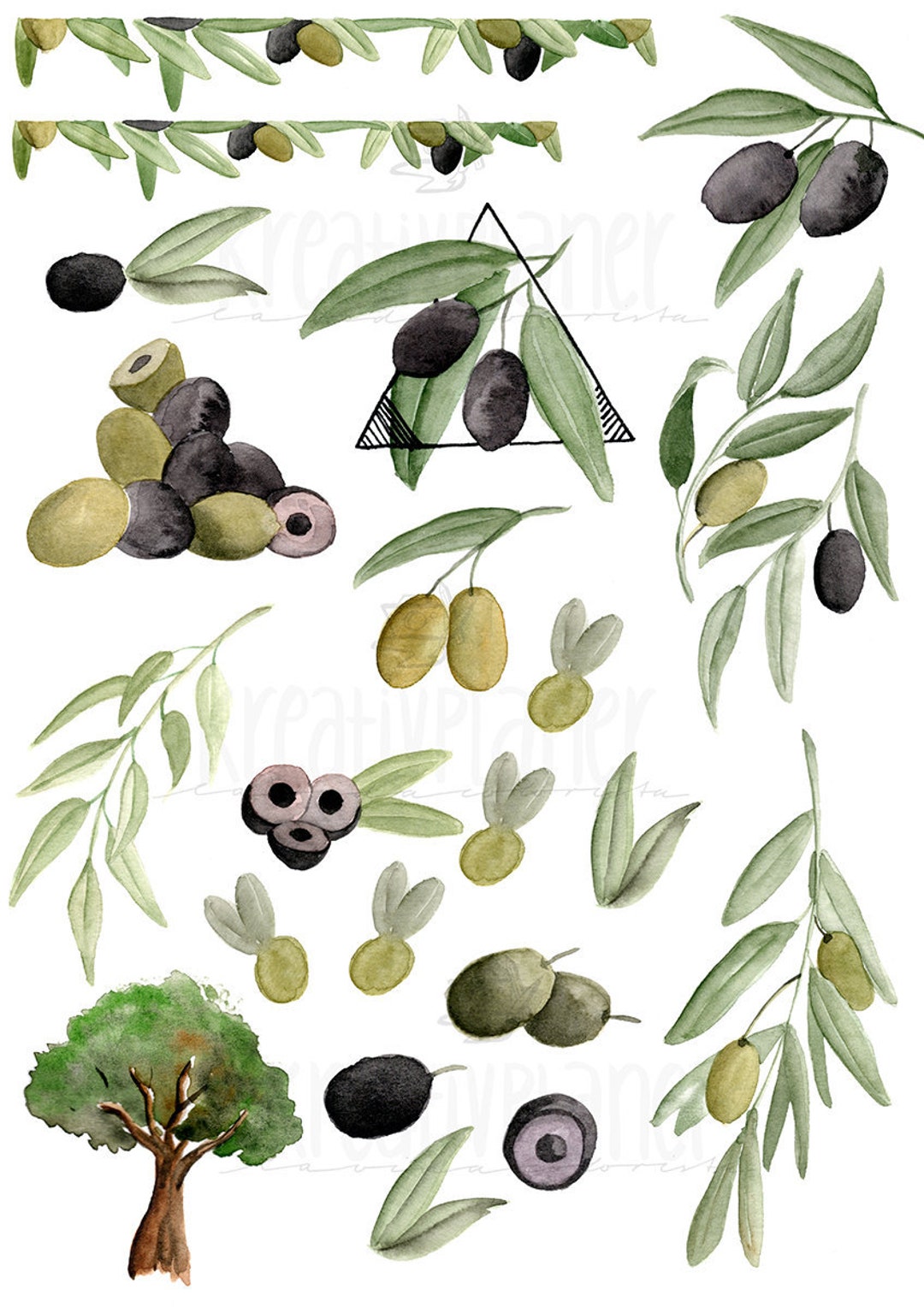 Watercolor Sticker Set Olives for Your Bullet Journal / Bujo / Filofax ...