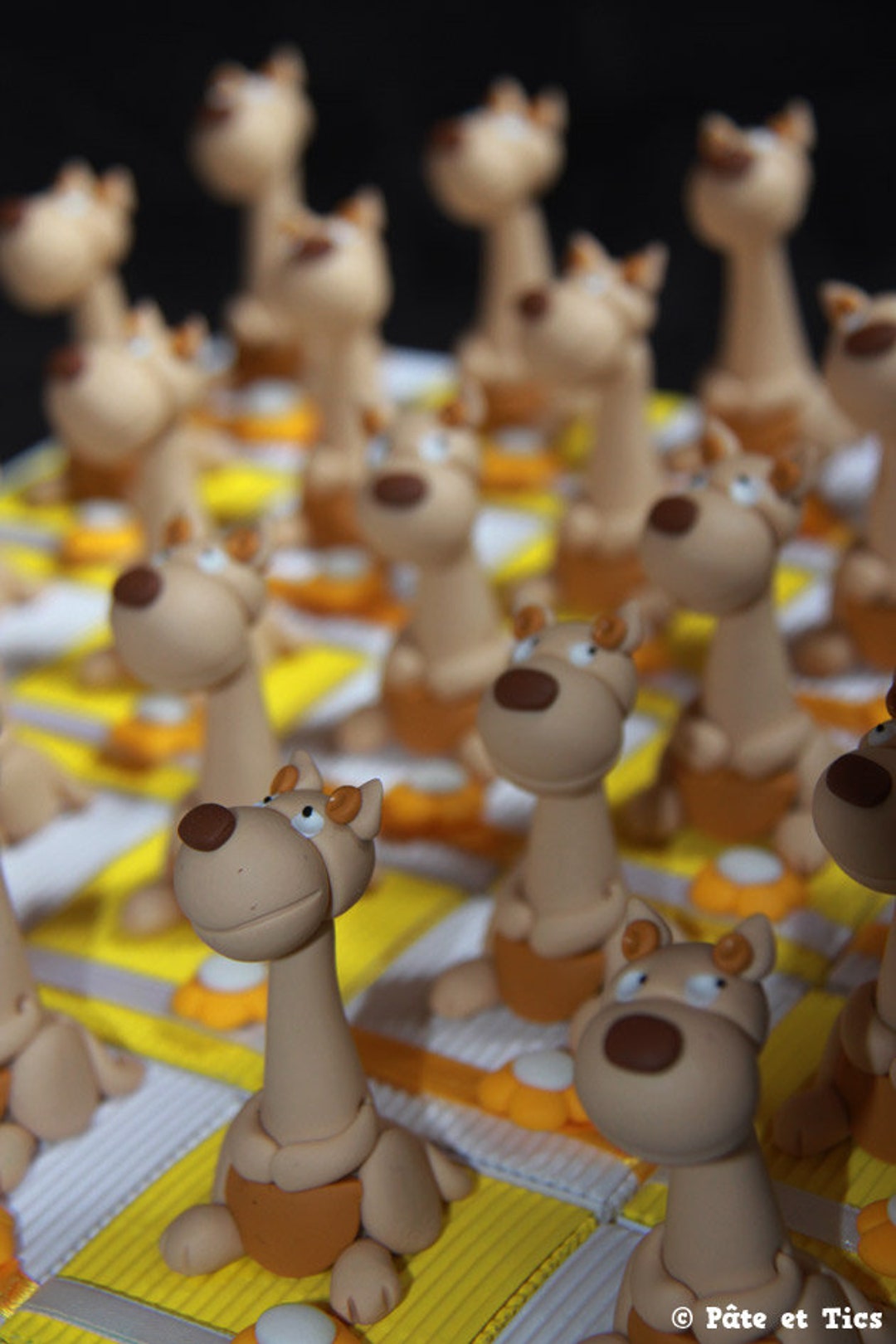 Kangaroo Dragees Boxes Theme Australia - Etsy