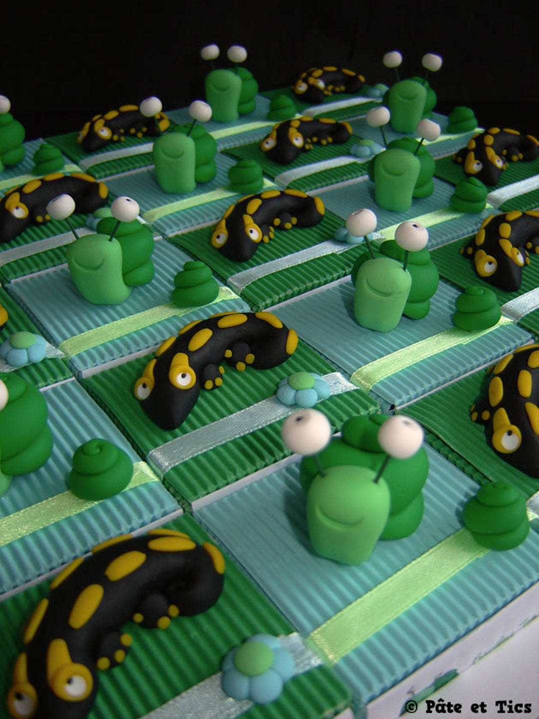 Boxes of Salamanders and Snails Theme Nature - Etsy