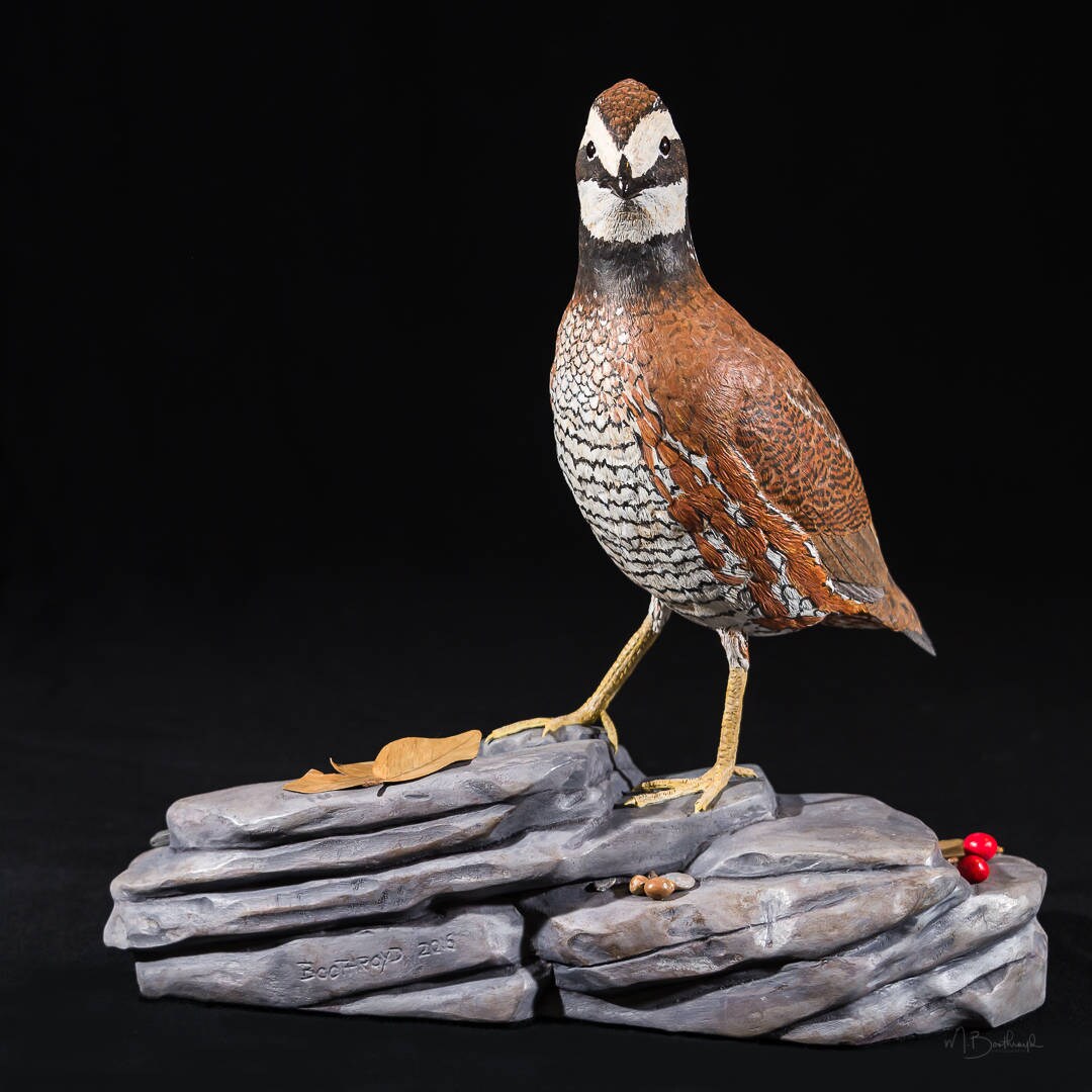 Codorniz Bobwhite del Norte - Etsy España