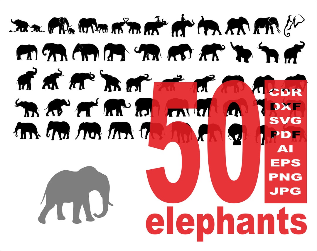 Elephant Svg Elephant Decal Jungle Animals Svg Elephant Vector - Etsy