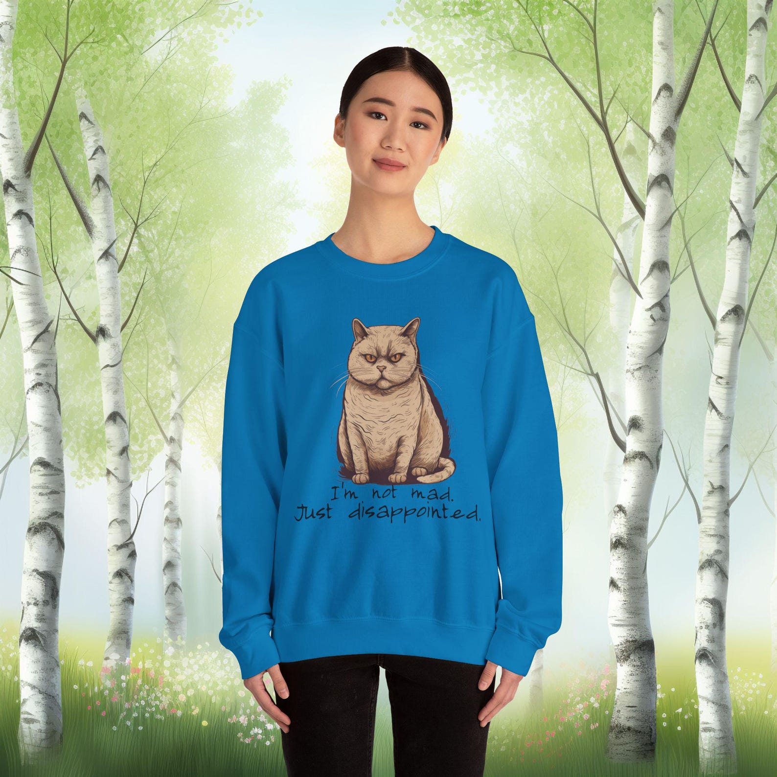 I'm Not Mad. Just Disappointed. Funny Cat Sweater | Sarcastic Cat ...