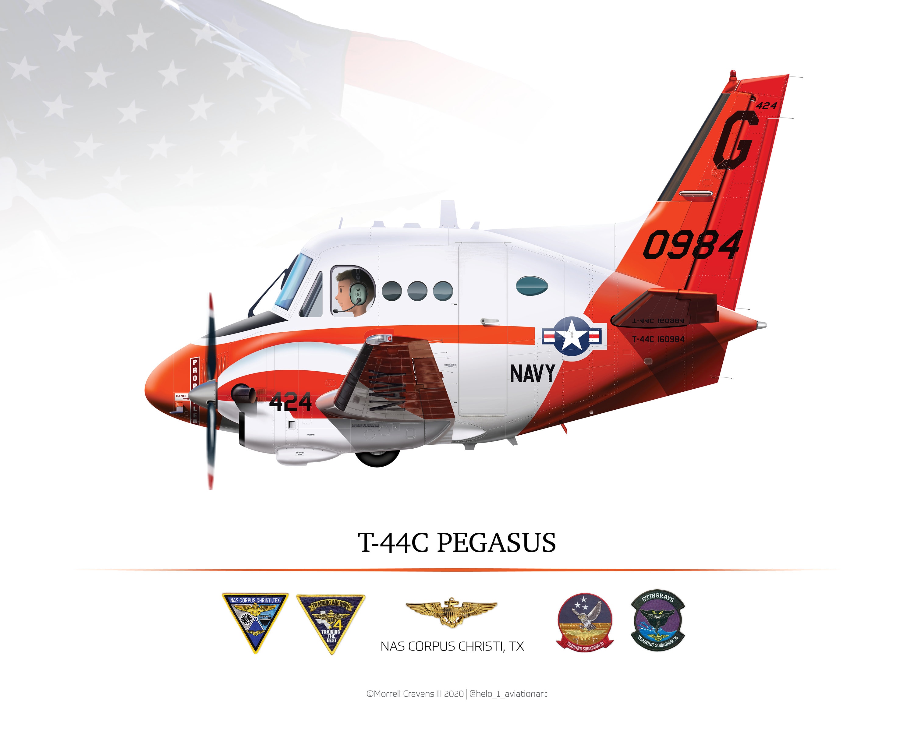 Aviation Print | Aircraft Print | T44 Pegasus | Man Cave Art | Pilot ...