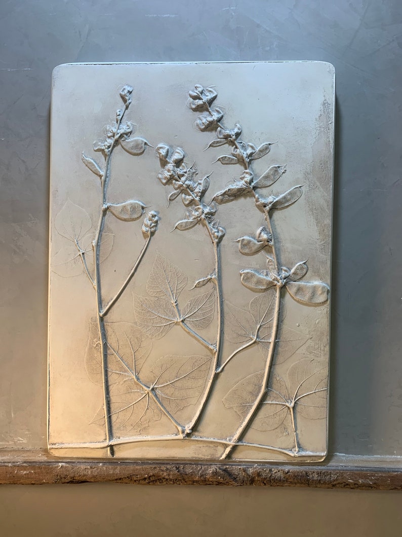 Ruby Moon Hyacinth Lab Lab Bean Plaster Botanical Bas Relief Wall Art ...