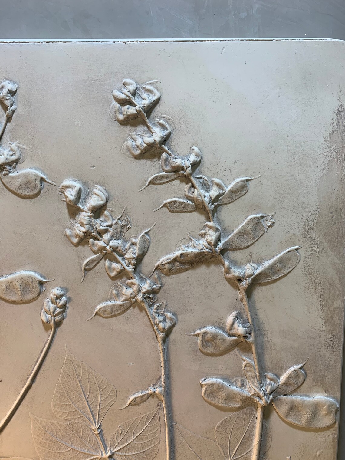 Ruby Moon Hyacinth Lab Lab Bean Plaster Botanical Bas Relief - Etsy