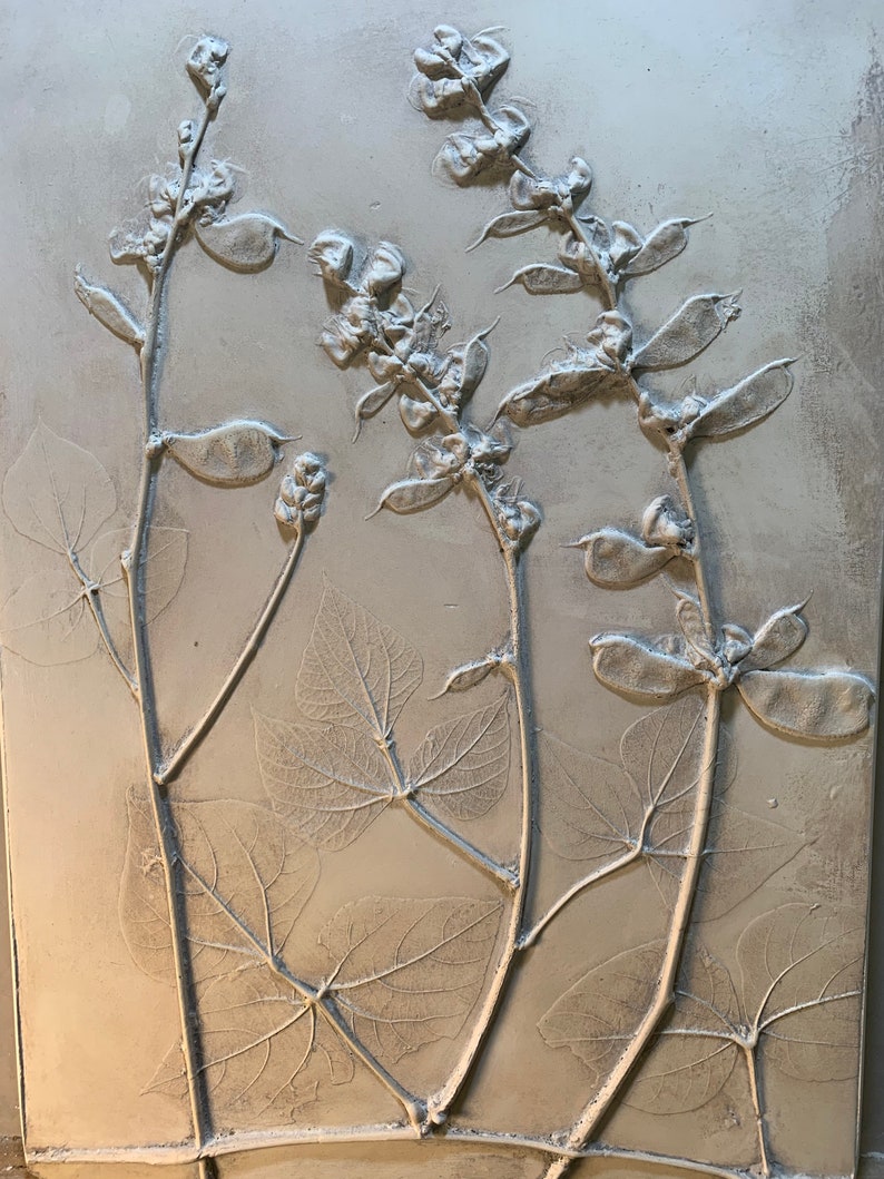 Ruby Moon Hyacinth Lab Lab Bean Plaster Botanical Bas Relief Wall Art ...