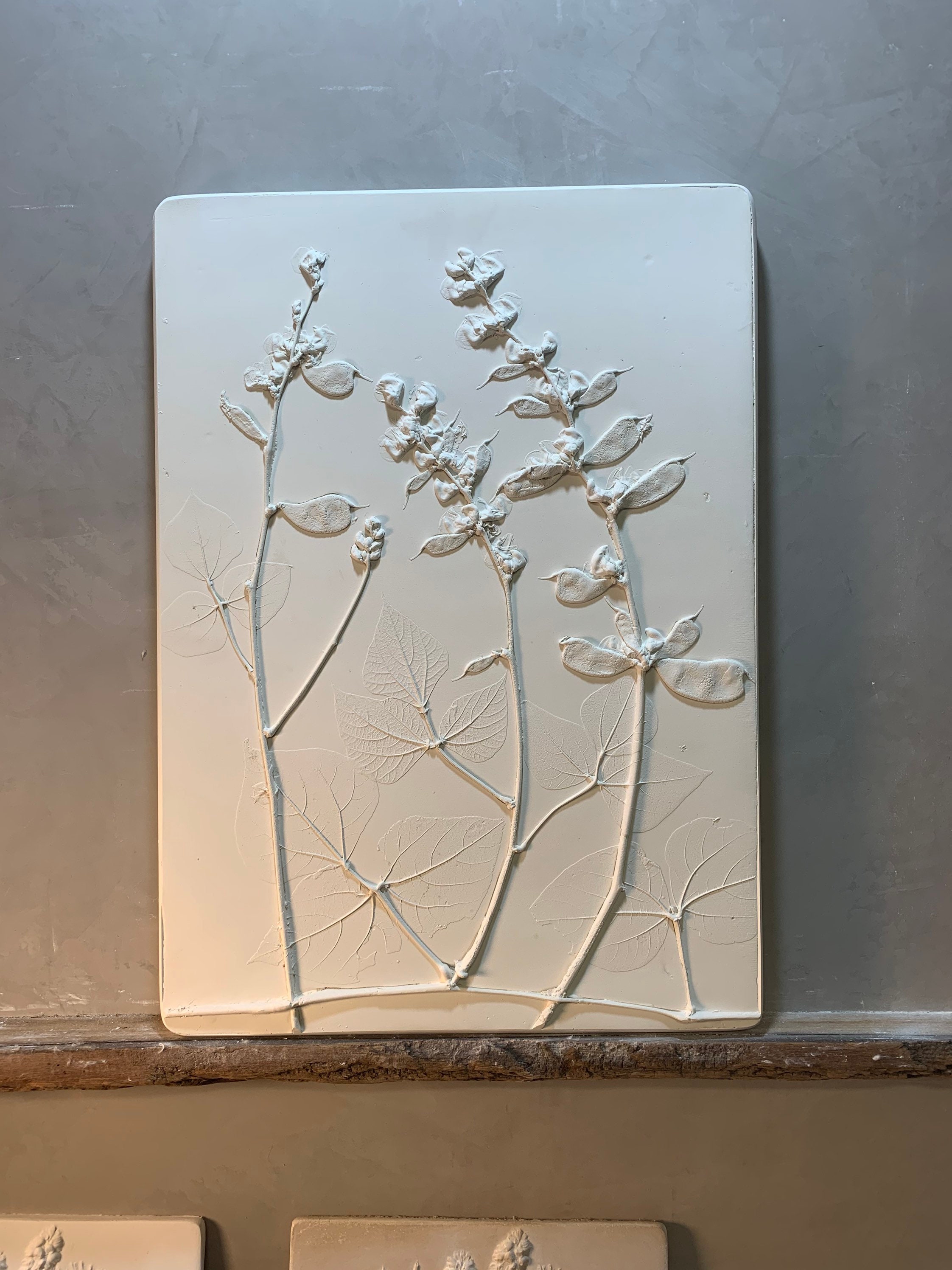 Ruby Moon Hyacinth Lab Lab Bean Plaster Botanical Bas Relief - Etsy