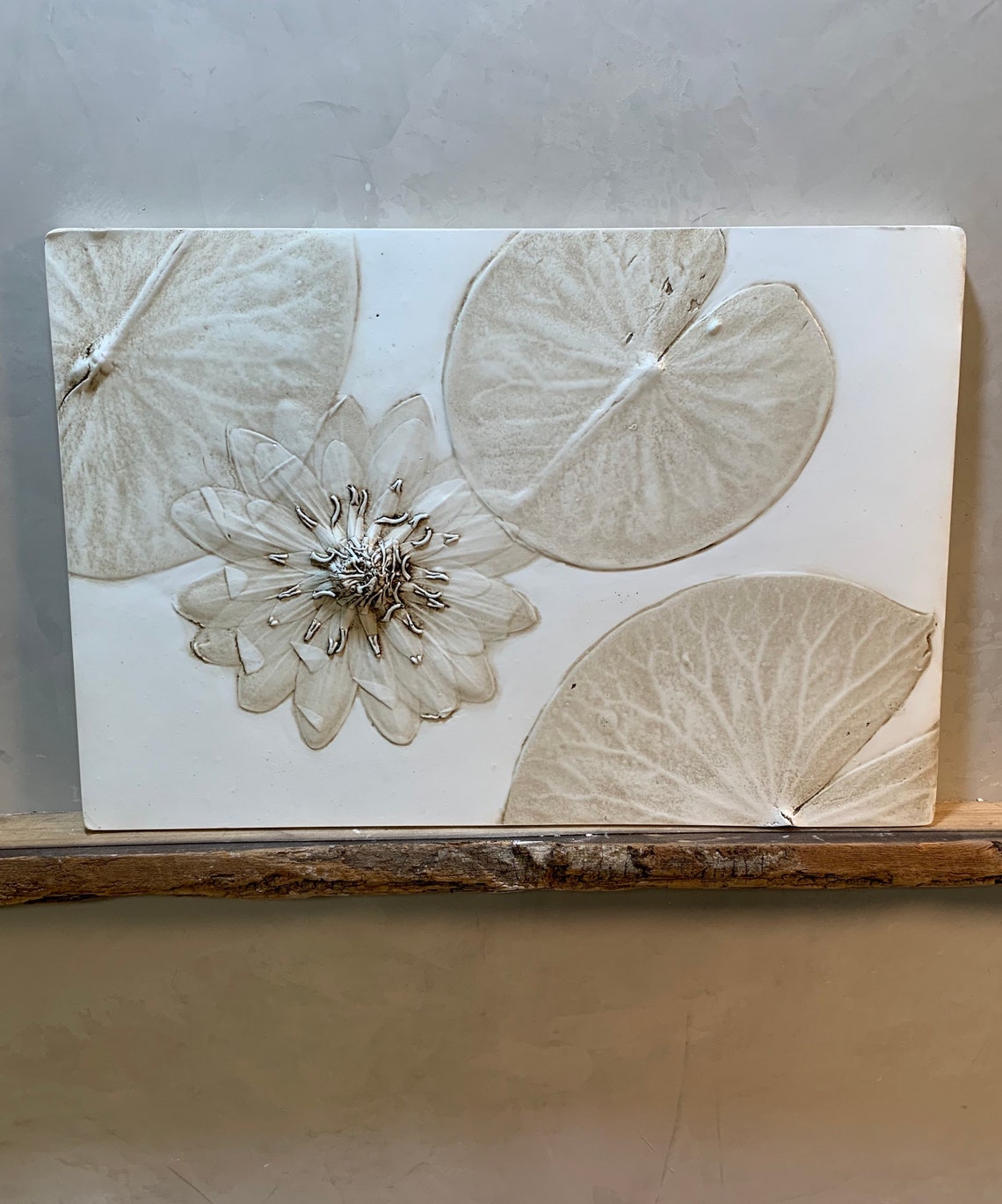Botanical Bas Relief Water Lily Plaster Wall Art 15 1/4x10 - Etsy