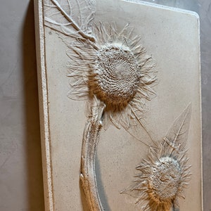 Sunflower Botanical Bas Relief Wall Art 10x22 Inch Lightweight Concrete ...