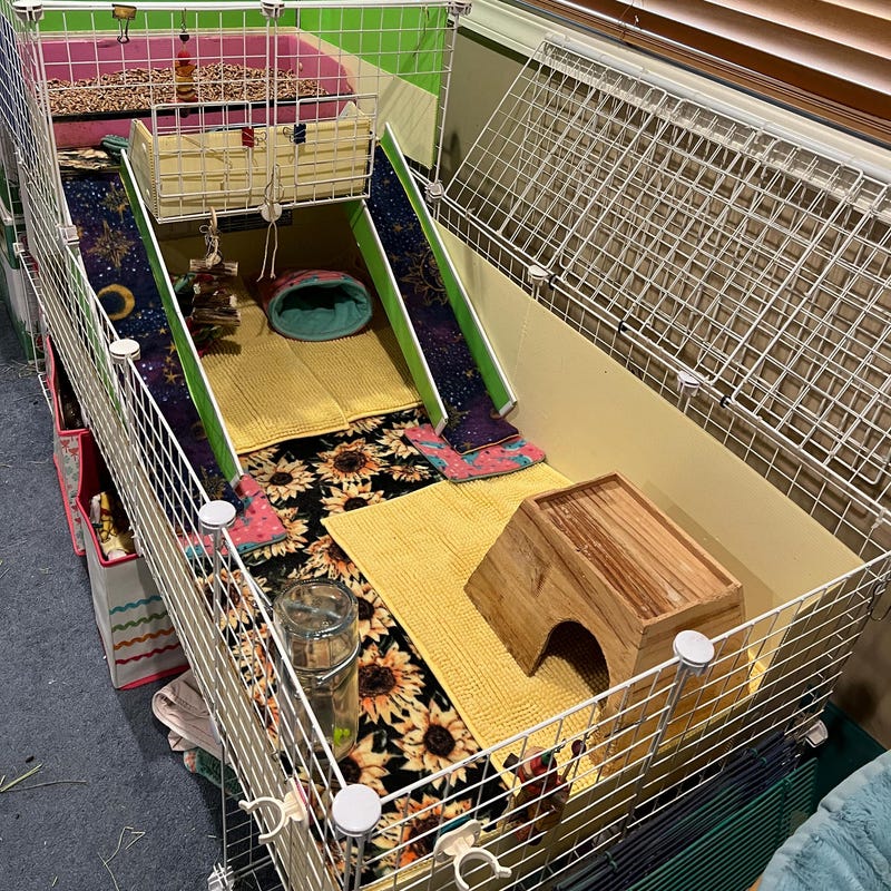 Rabbit Cage Liner - Etsy