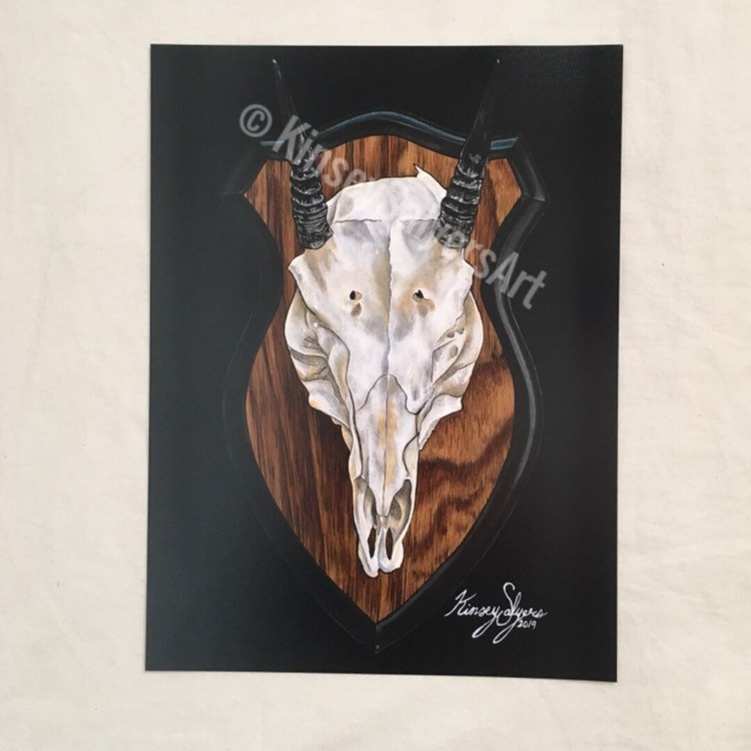 PRINT 9x12 of antelope Skull Mount - Etsy