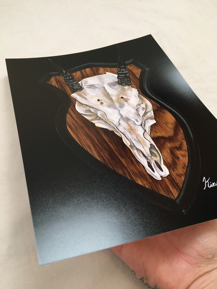 PRINT 9x12 of antelope Skull Mount - Etsy