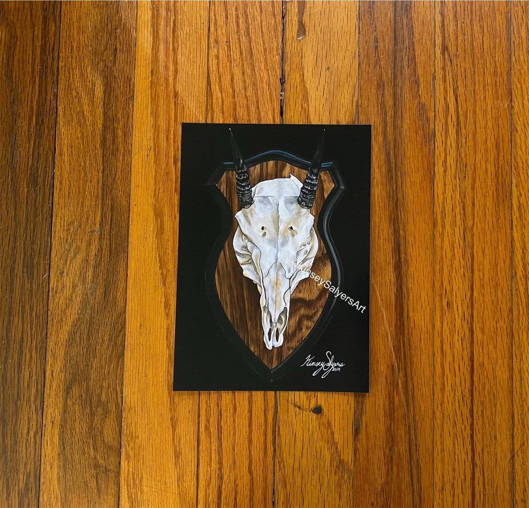 PRINT 5x7 of antelope Skull Mount - Etsy