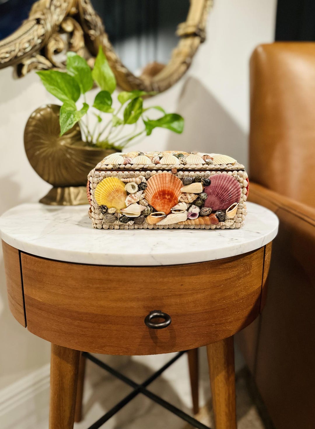Seashell Hinged Box - Etsy