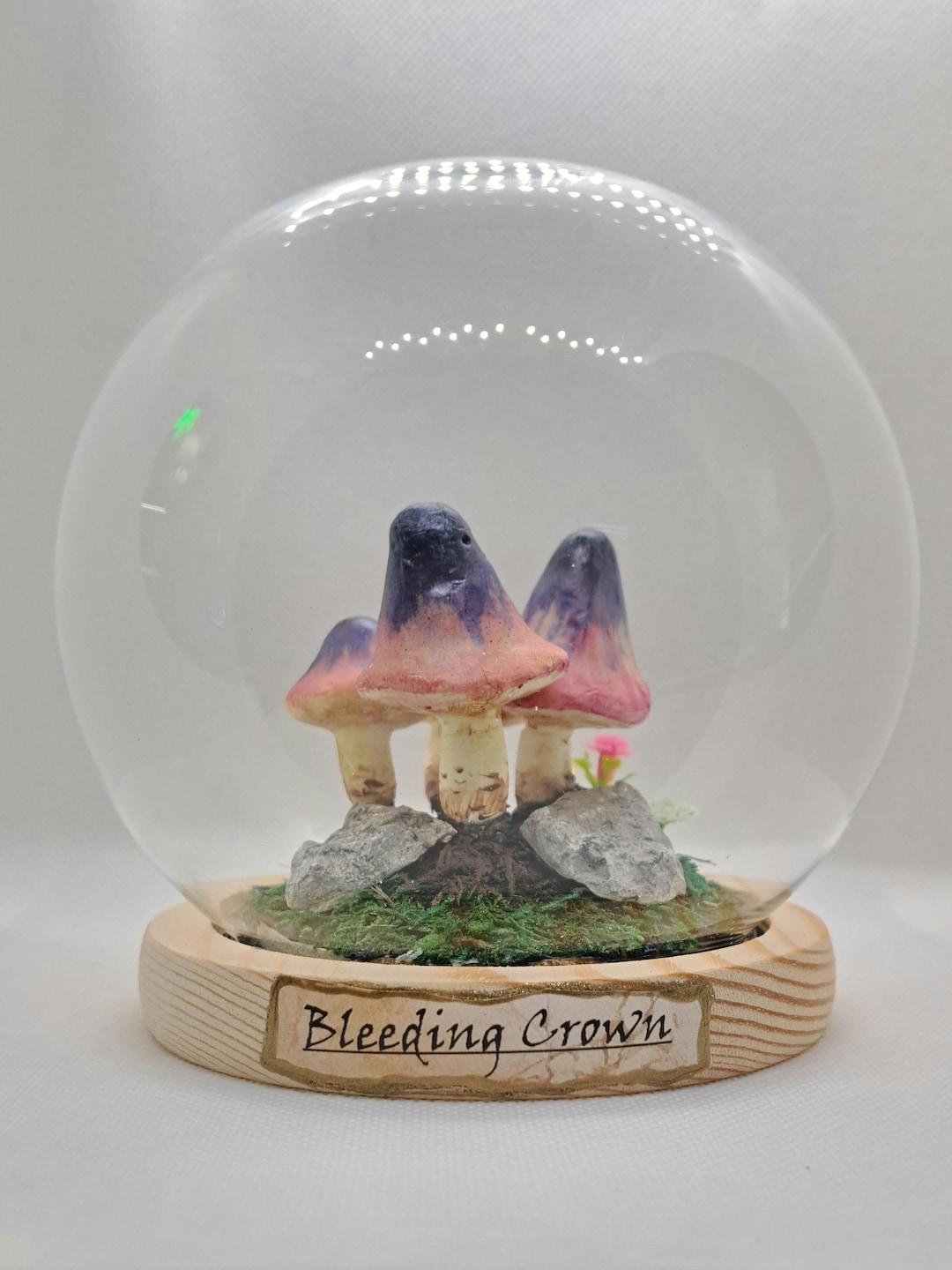 The Elder Scrolls V Skyrim Bleeding Crown Glass Globe Dome Diorama Desk ...
