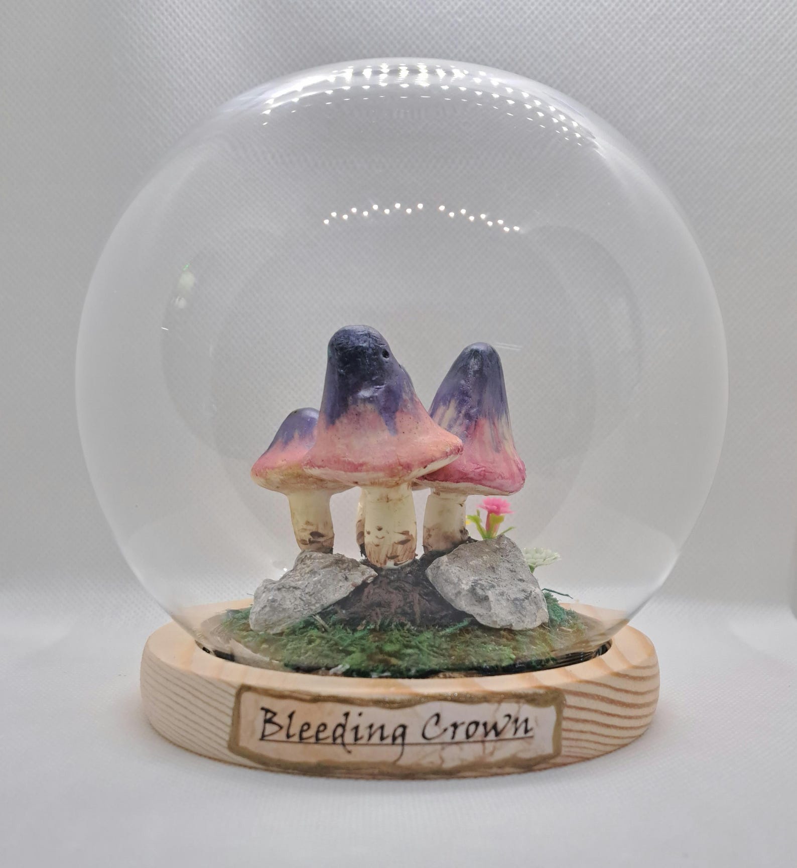 The Elder Scrolls V Skyrim Bleeding Crown Glass Globe Dome Diorama Desk ...