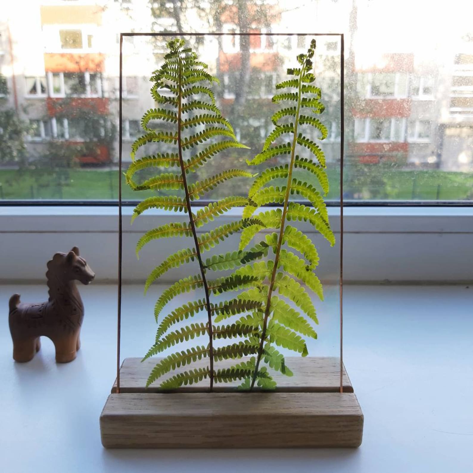 Pressed Fern in Glass Frame Dried Plant Hanging Modern | Etsy