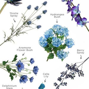 Pressed Blue Flower in Glass Frame - Herbarium Dry Plant Hanging ...