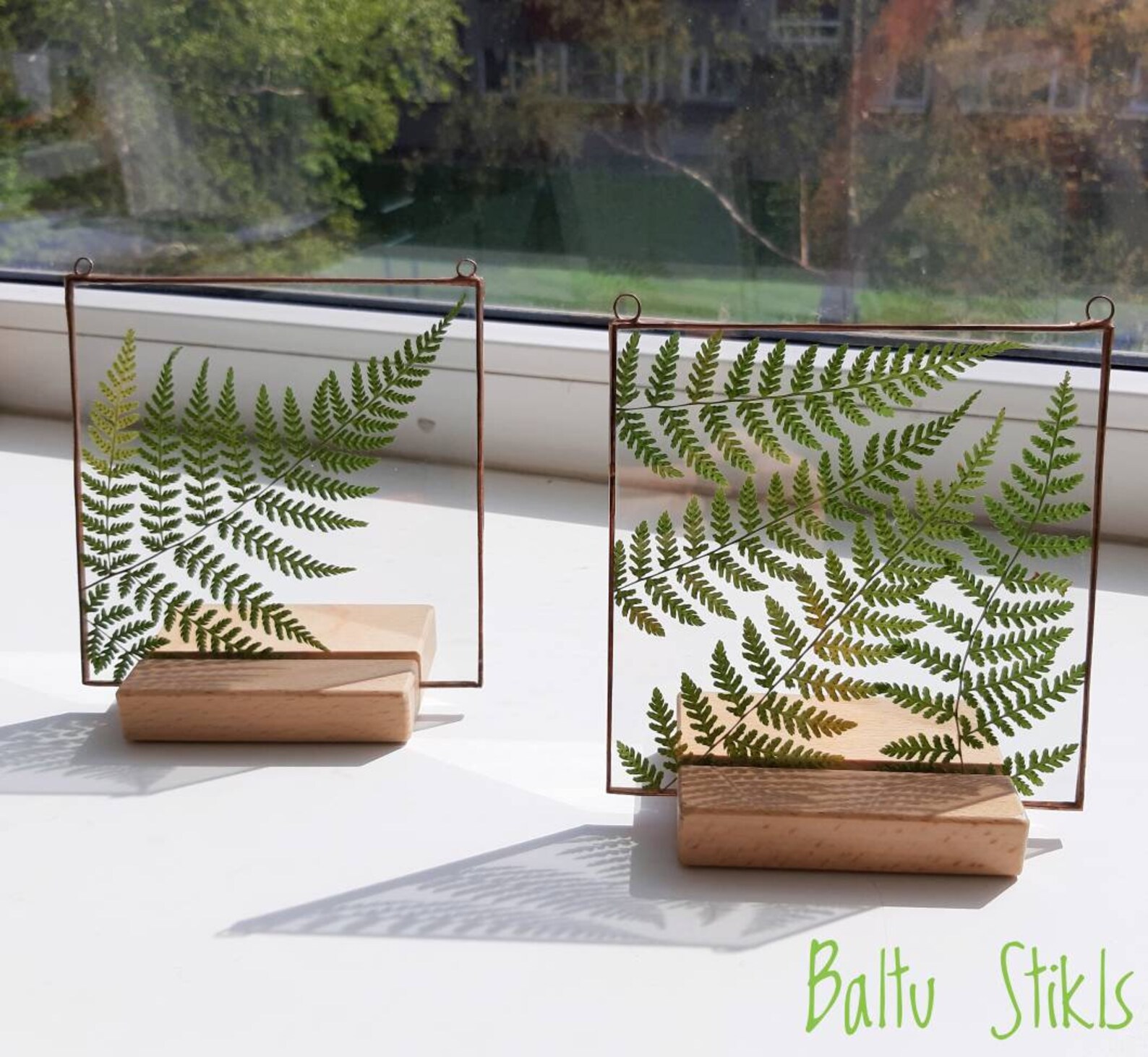Pressed Green Fern in Glass Frame - Dried Plant Hanging, Modern Floral ...