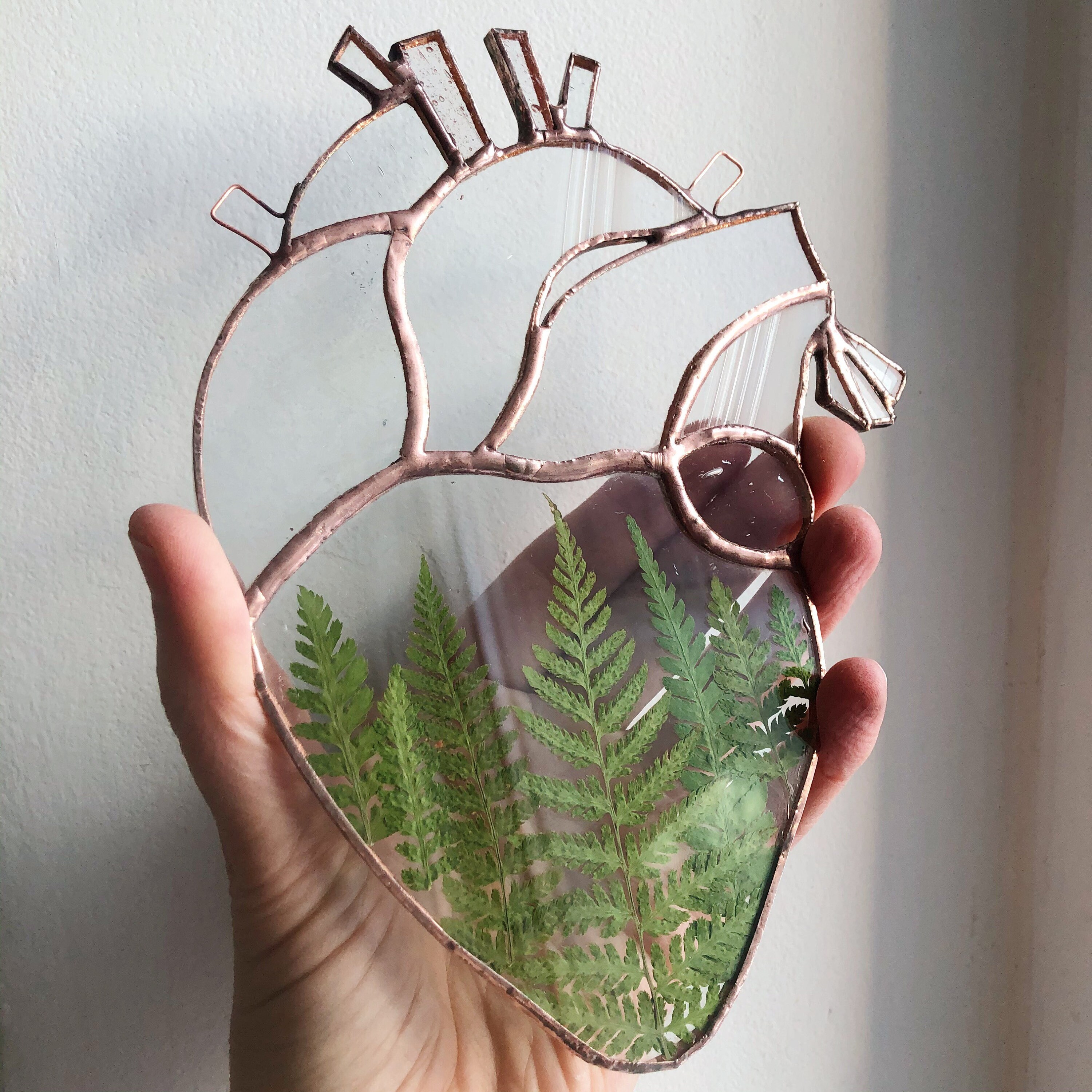 Large Stained Glass Anatomical Heart: Pressed Ferns - Human Anatomy Art ...