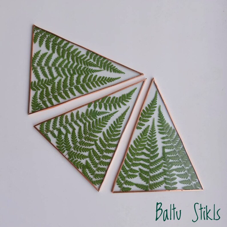 Stained Glass Mountain - Dried Ferns Mountains Decor - Pressed Ferns ...