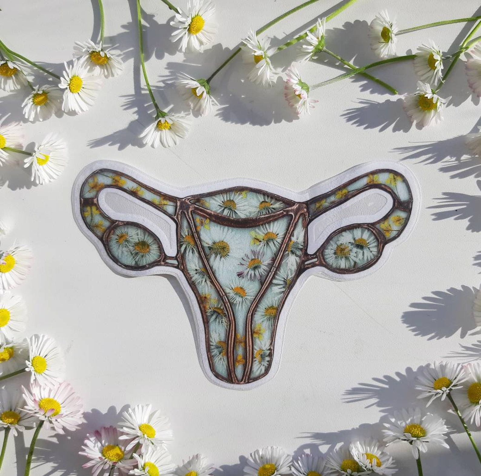 Human Uterus With Ovaries Sticker: Set of 3 5 Anatomy Art | Etsy