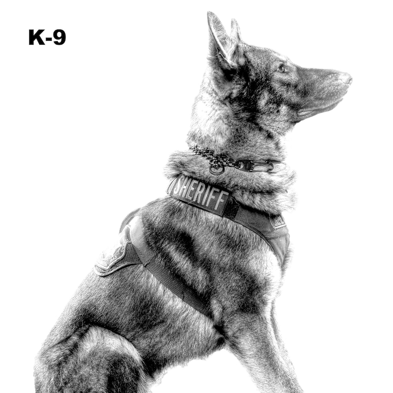 K9 Handler Svg - Etsy