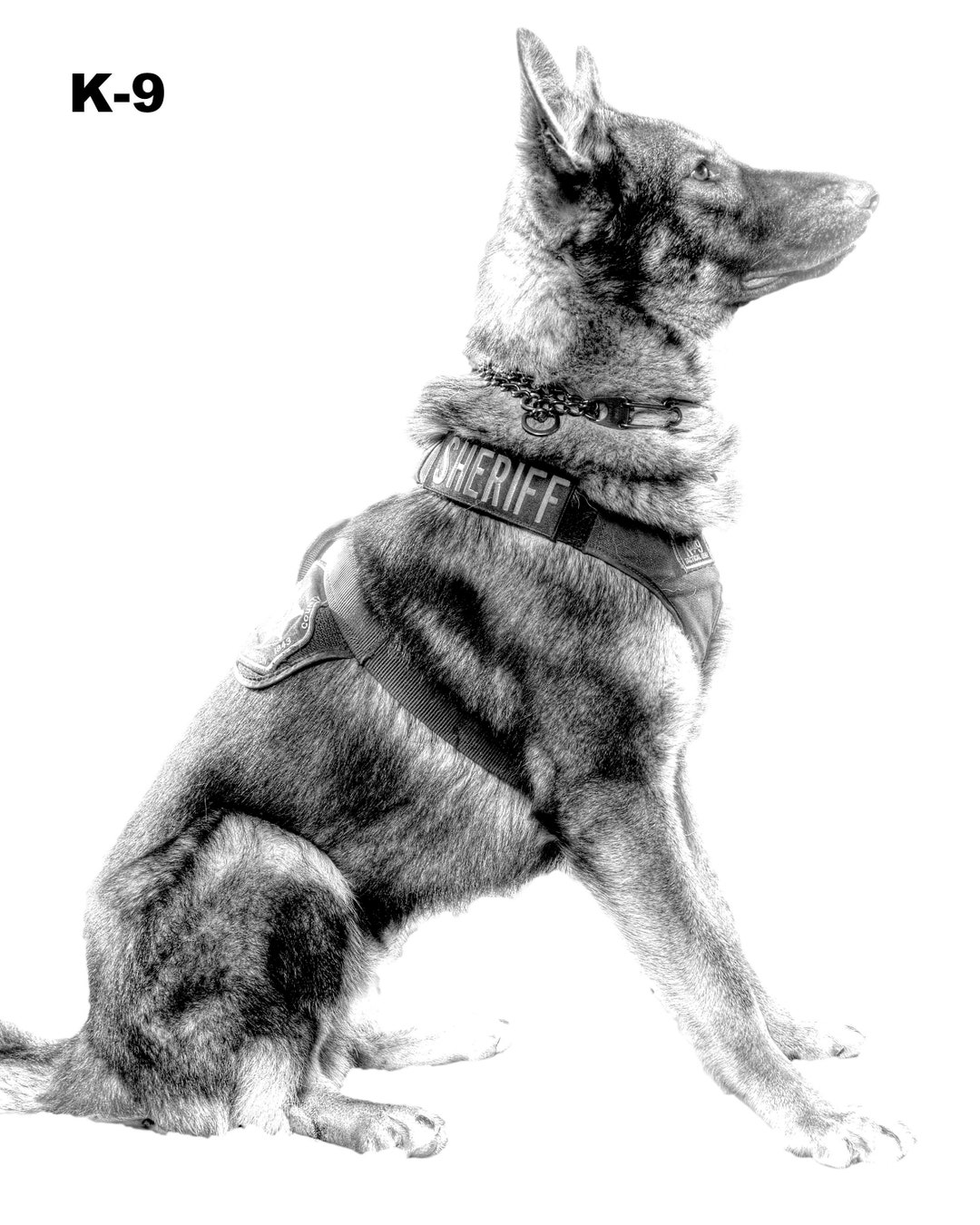 K9 Officer, K9 Handler Gift, Police Dog, Man Cave Art - Etsy