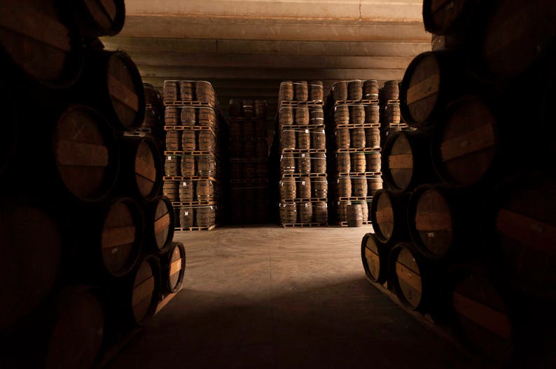 Wine Barrels Photo, Whiskey Barrel, Rum Barrel, Bar Decor, Rustic Art ...