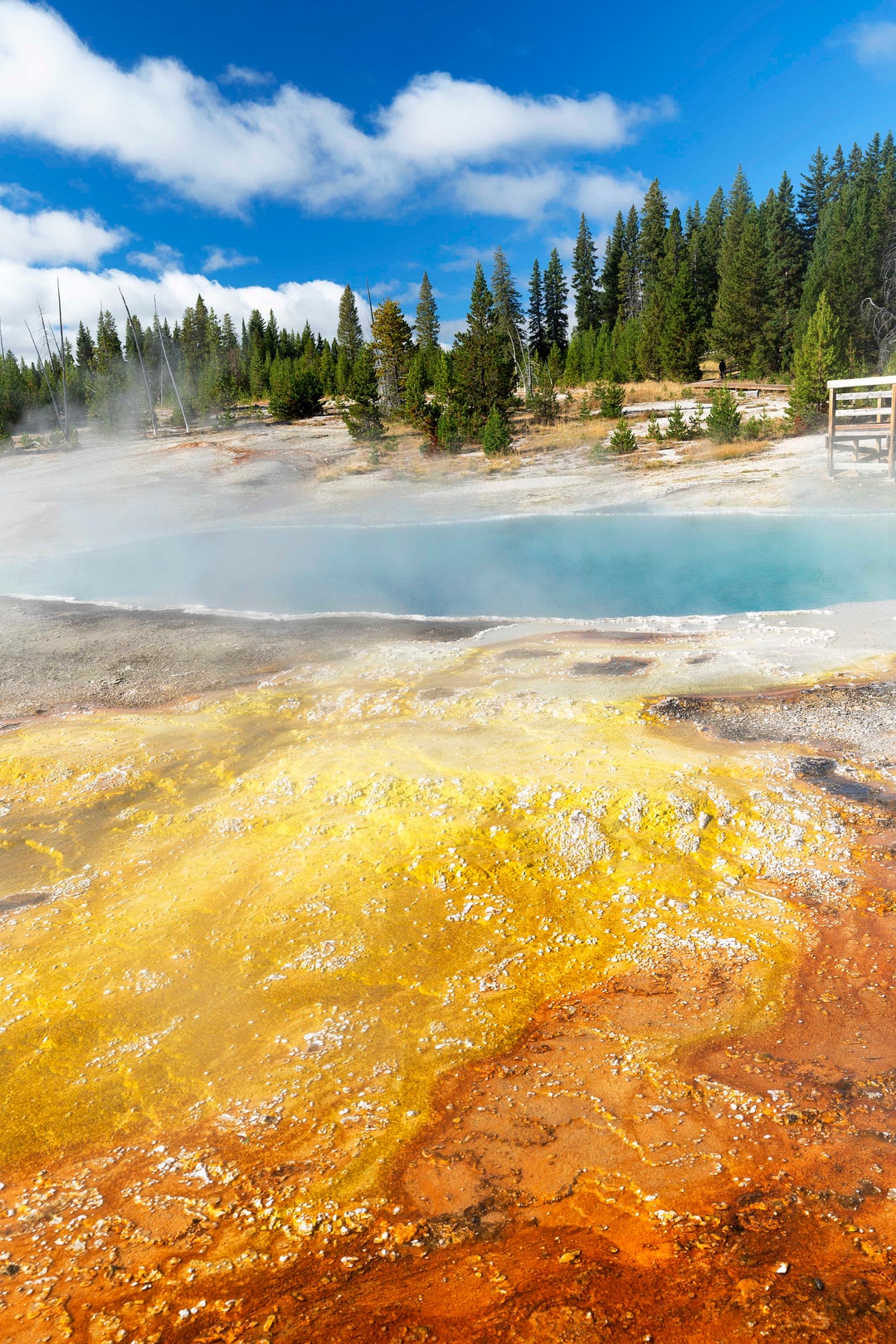 Yellowstone Hot Spring, Thermal Pool, Yellowstone National Park ...