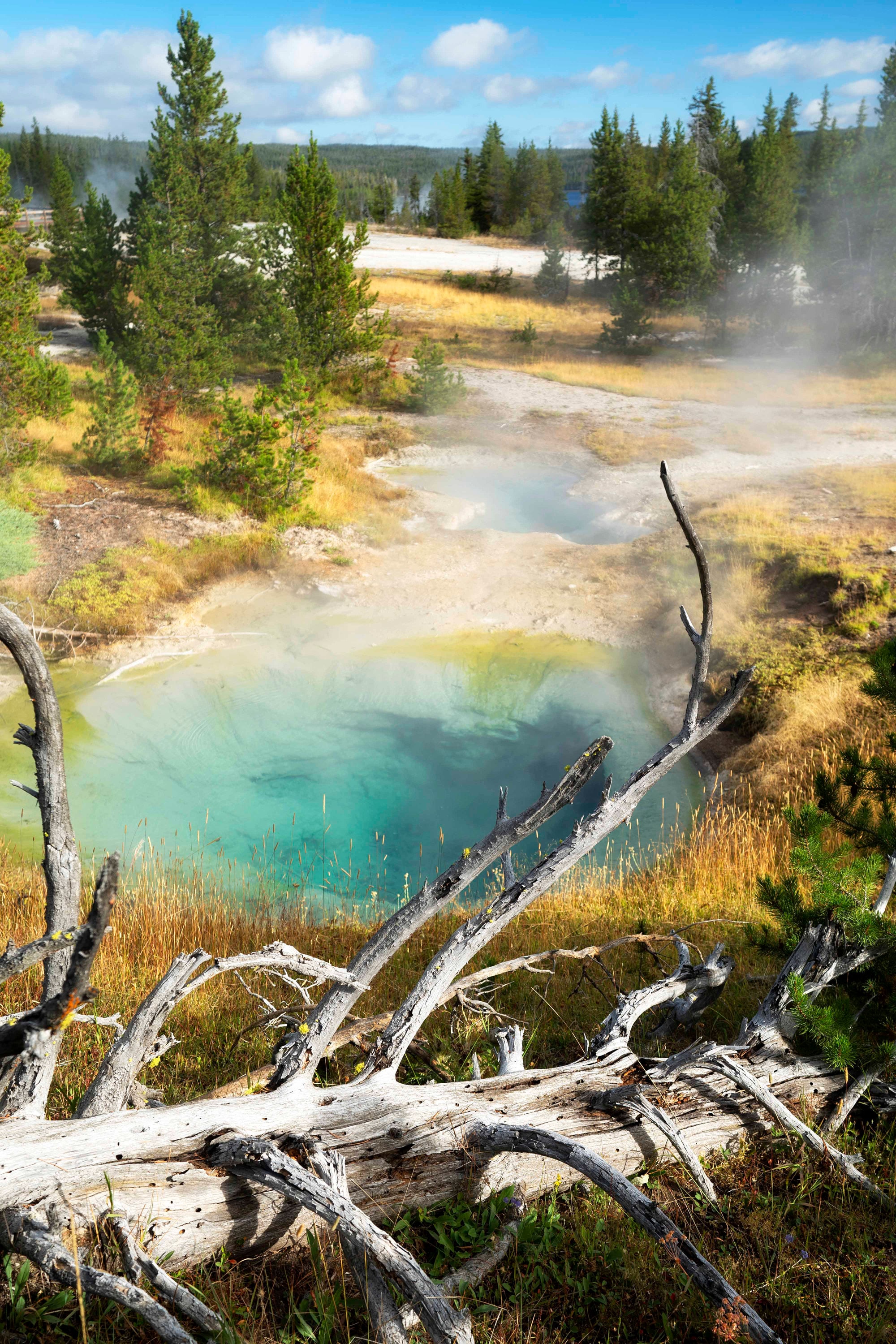 Yellowstone Landscape Photo, Hot Spring, Yellowstone National Park ...