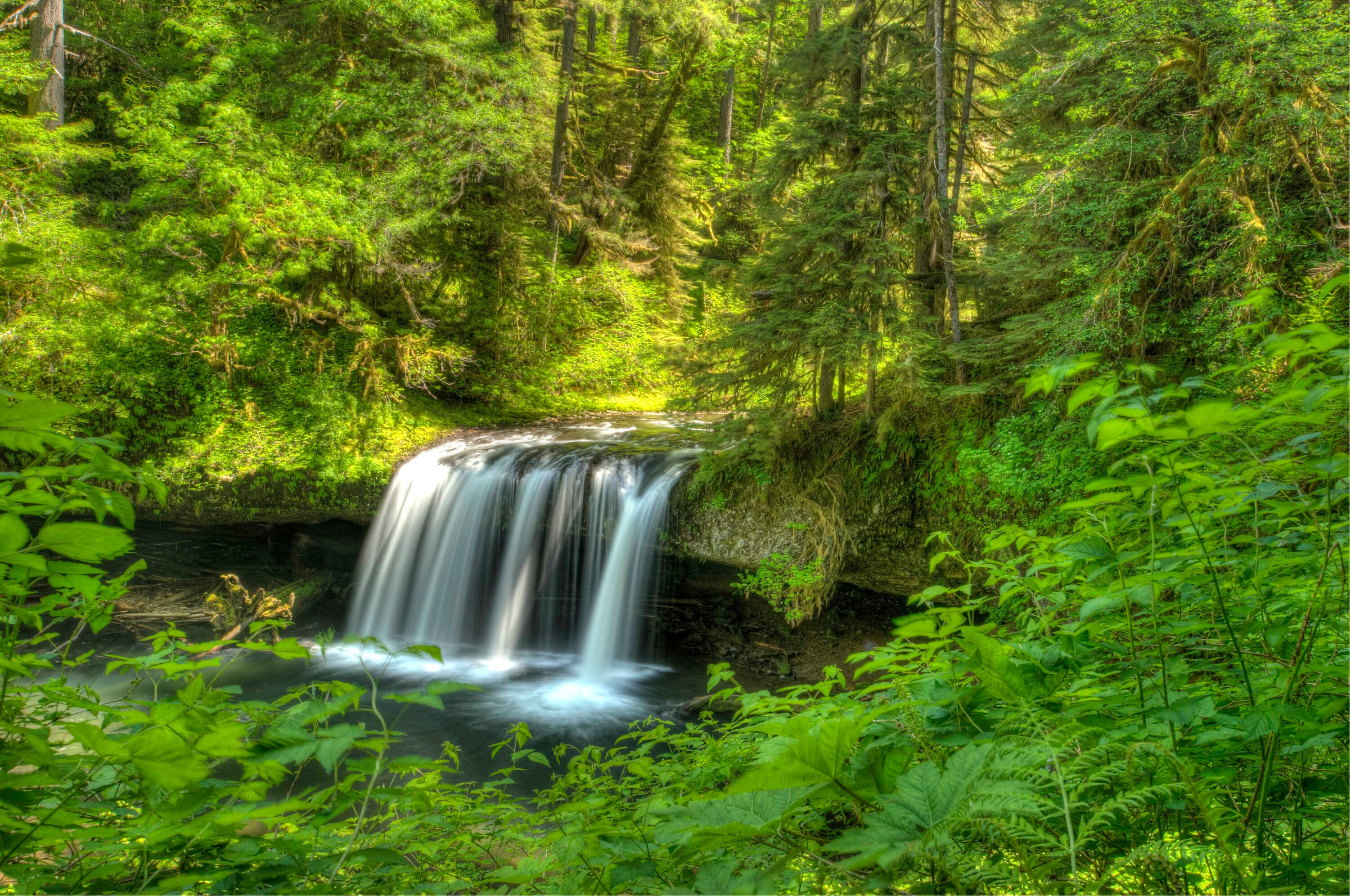 Waterfall Photography, Waterfall Photo, Butte Creek Falls, Oregon ...
