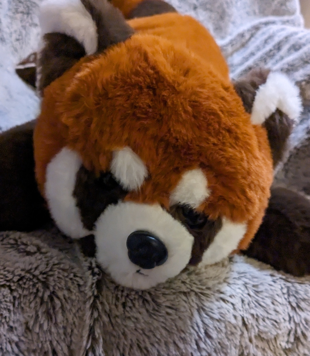Weighted Red Panda Plush for Anxiety, ADHD, Stress, Autism, Comfort ...