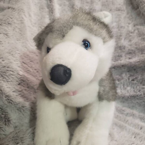 Husky Plush - Etsy