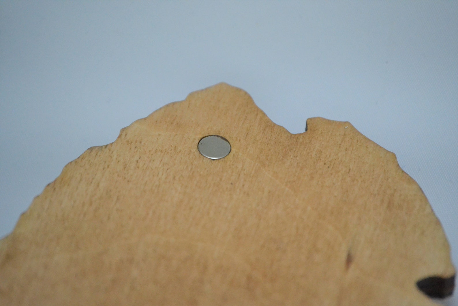 NPS National Park Service Magnet - Etsy