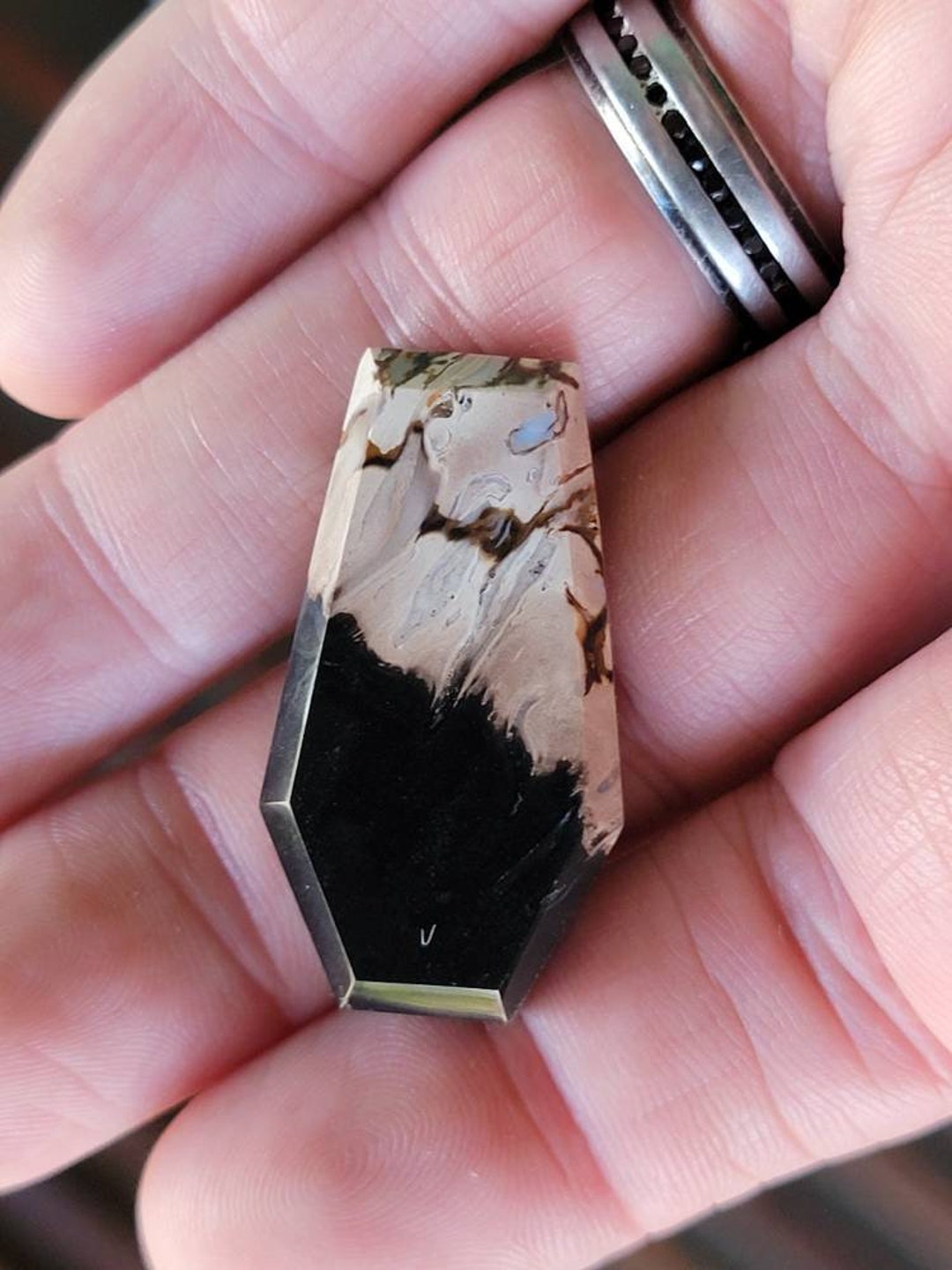 Fossil Palmroot Coffin 38.2mm X 21mm. Gemstones Metaphysical - Etsy