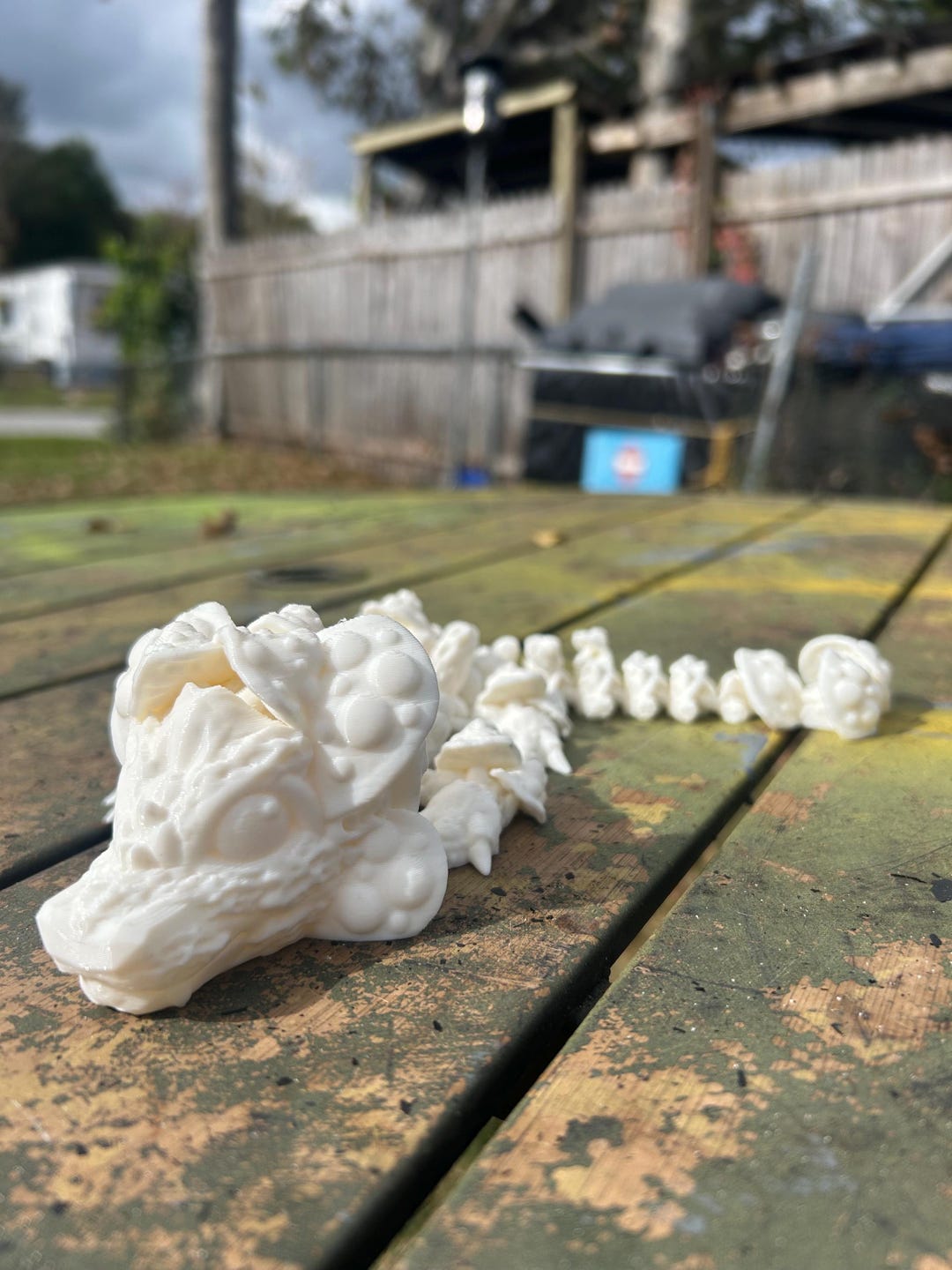 Bady Mushroom Dragon - Etsy