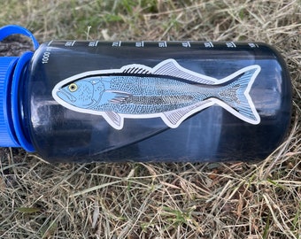 Blue Fish Sticker - Etsy