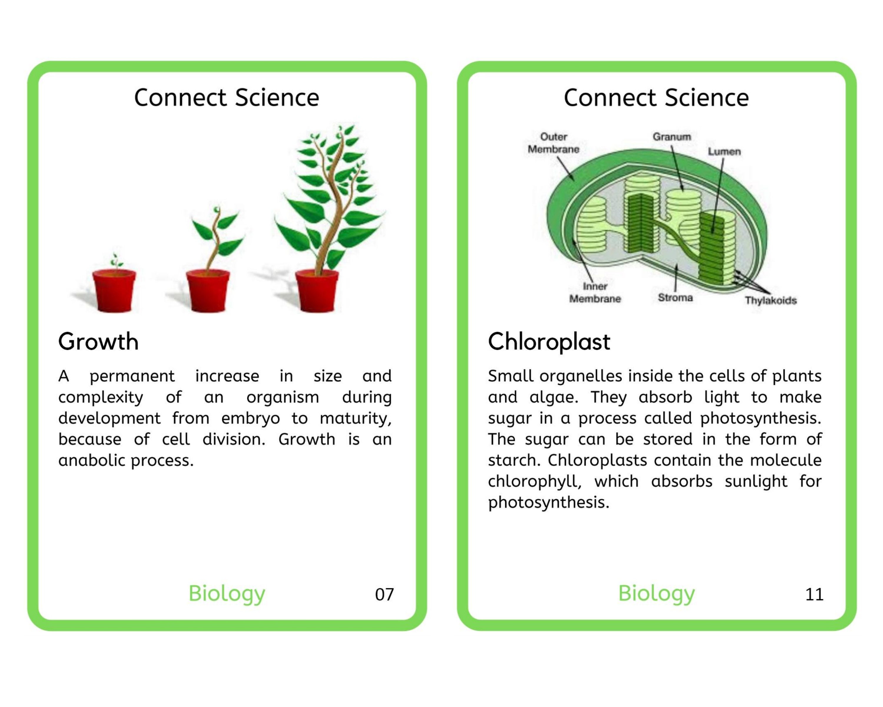 Biology Printable Learning / Revision Cards 59 Card Deck With Cheat ...